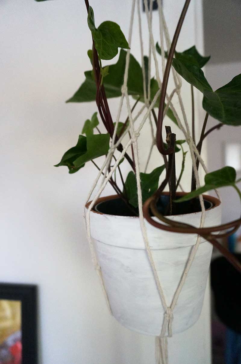 {diy} rope plant pot hanger – fox plus wilson